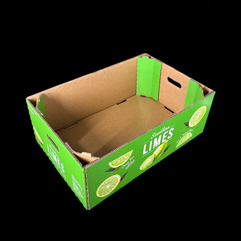 A5538 Sam’s Lime Box Boix - Lime Print Produce Box