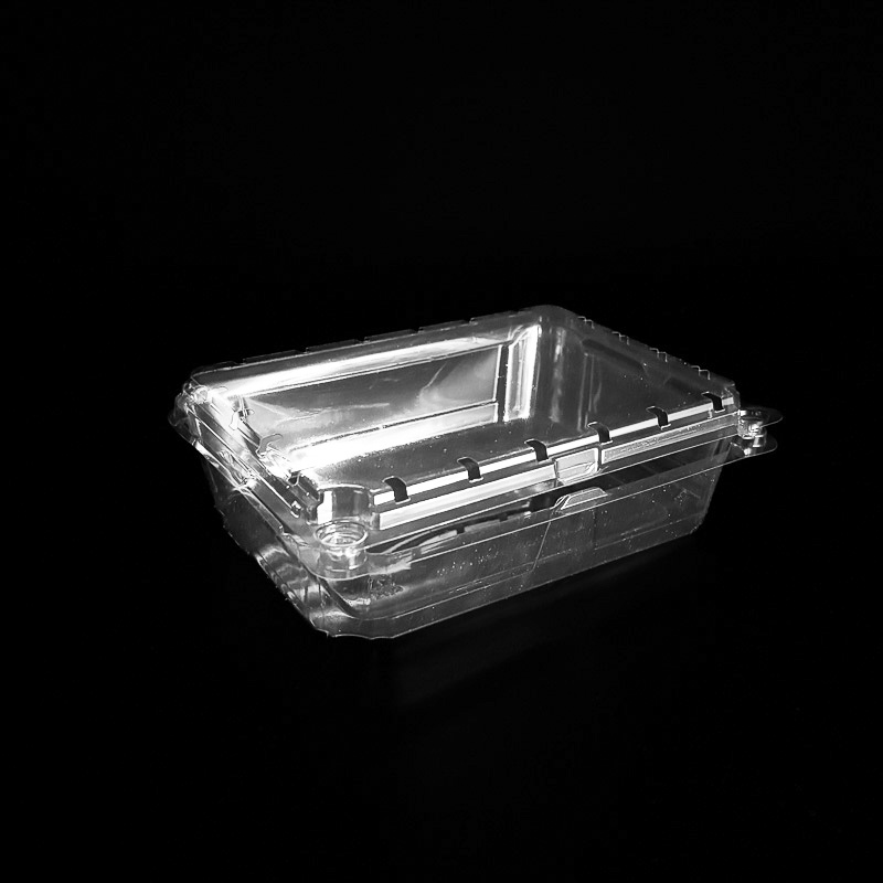 C1149 1 lb Kiwi Clamshell - Midlantic Labeling and Packaging